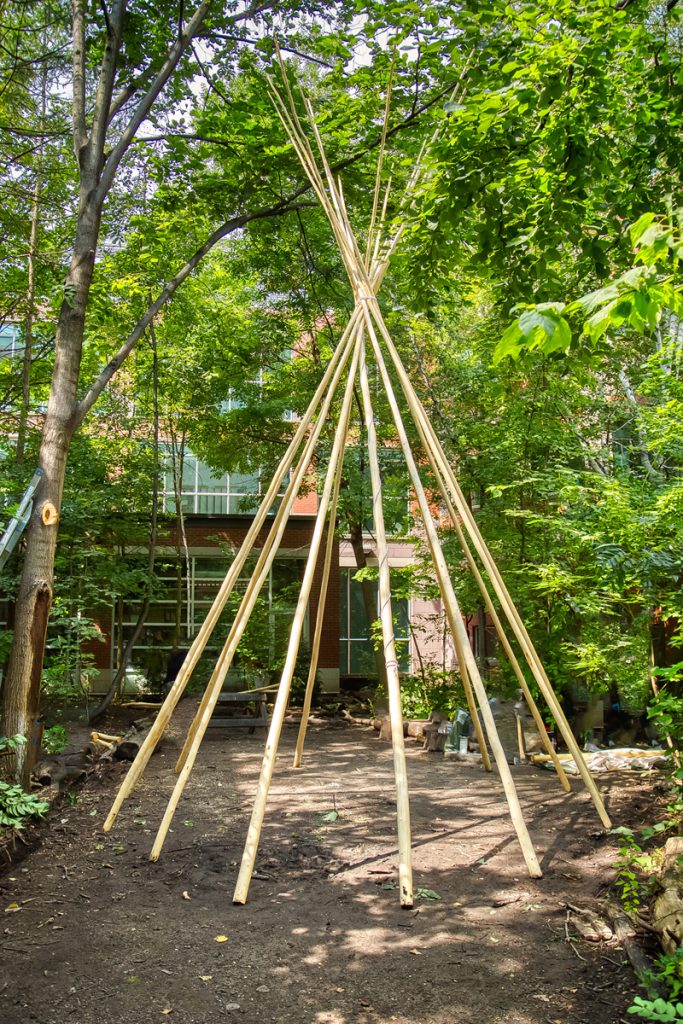 Indigenizing spaces on campus: First Nations House Tipi Raising - UofT ...